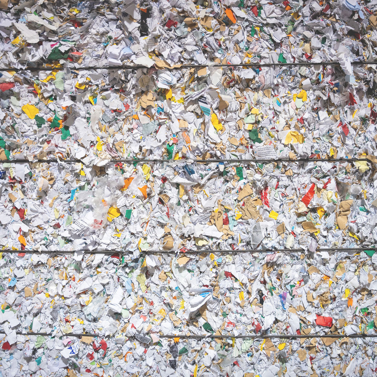 One off shredding – Shredded Neat